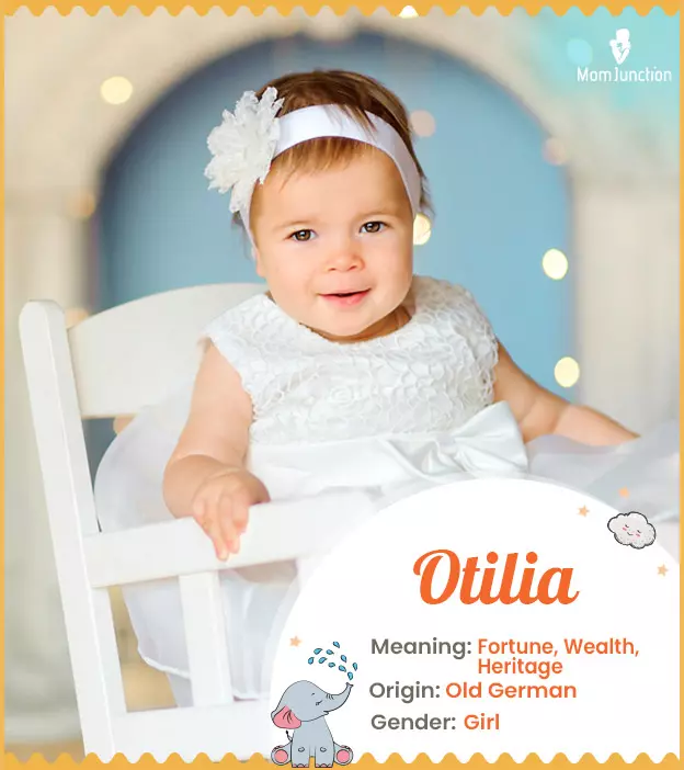 Explore Otilia: Meaning, Origin & Popularity