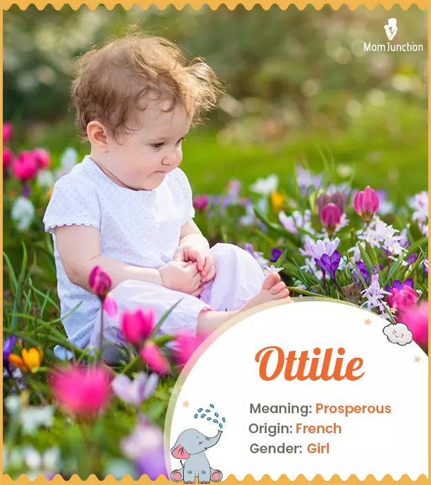 Ottilie Name Meaning, Origin, History, And Popularity