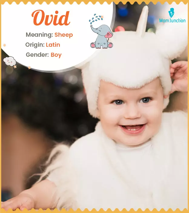 Ovid Name, Meaning, Origin, History, And Popularity