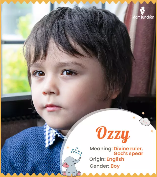 Ozzy Name Meaning, Origin, History, And Popularity