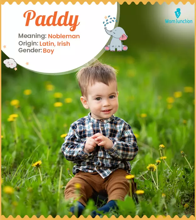 Explore Paddy: Meaning, Origin & Popularity