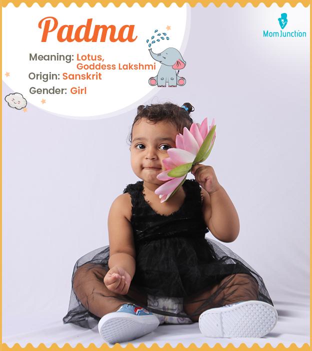Padma Name Meaning, Origin, History, And Popularity