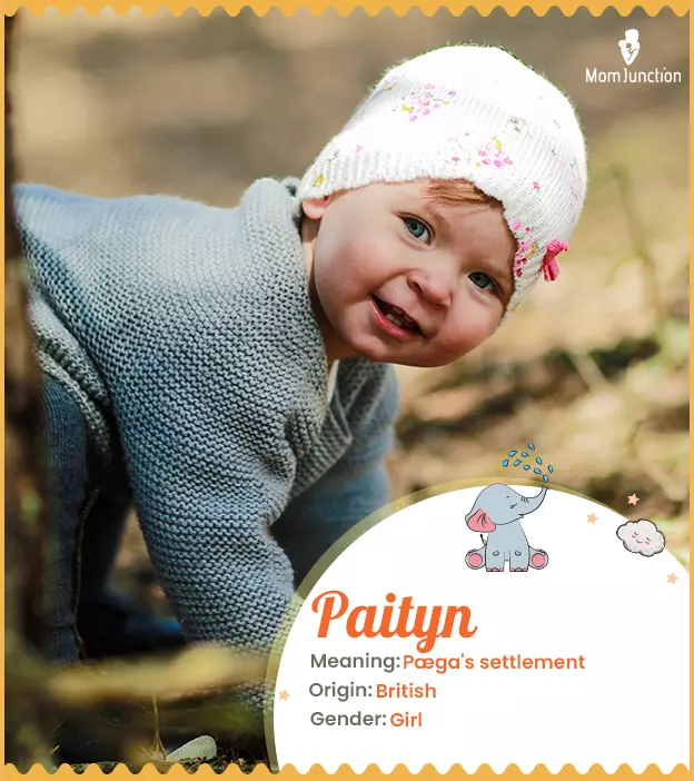 Explore Paityn Name: Complete Guide To Meaning, History, & Popularity ...
