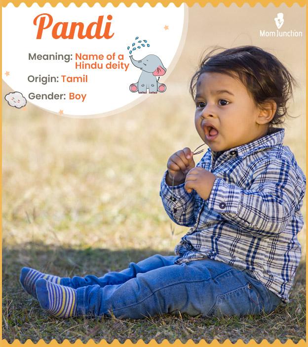 Explore Pandi: Meaning, Origin & Popularity