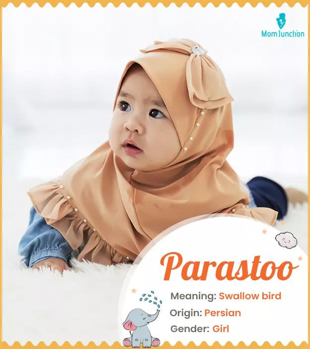Parastoo Name Meaning: Guide To Origin, Symbolism & Nicknames
