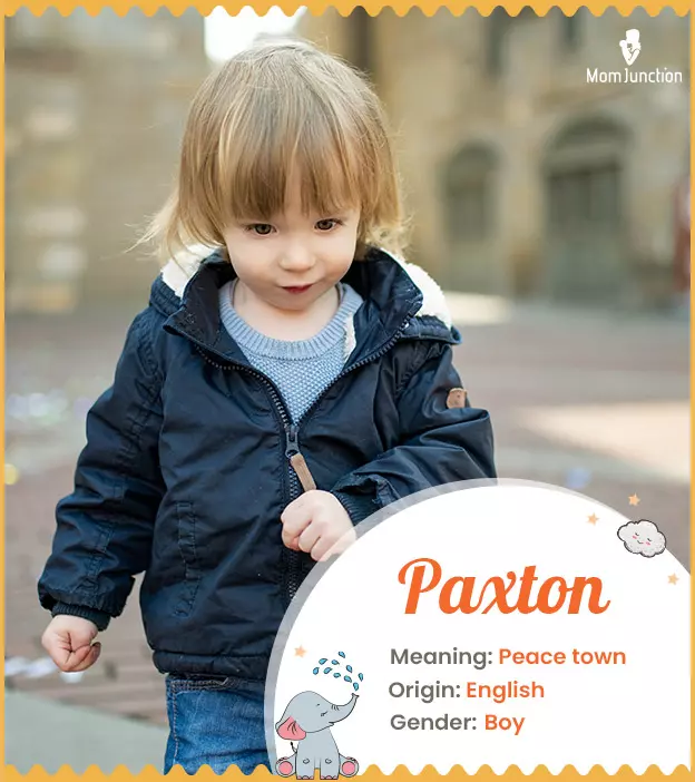 Paxton Name Meaning, Origin, History, And Popularity