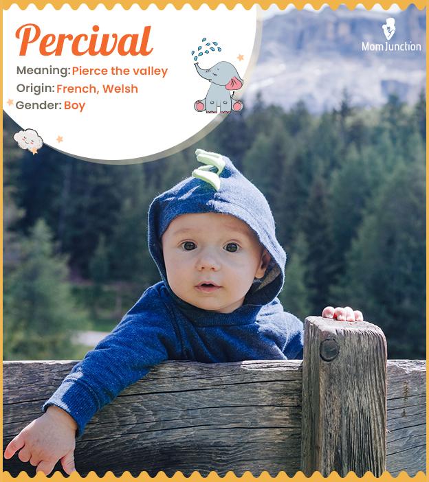 Percival Name Meaning, Origin, History, And Popularity