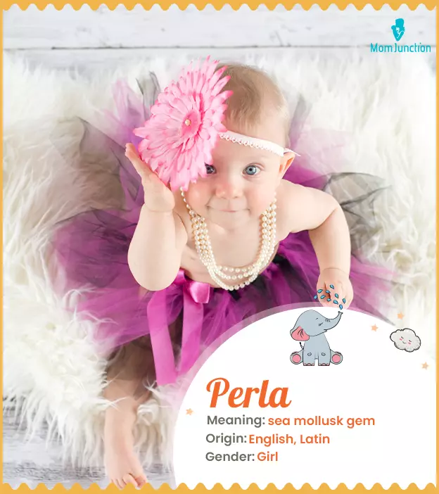 Perla Name, Meaning, Origin, History, And Popularity