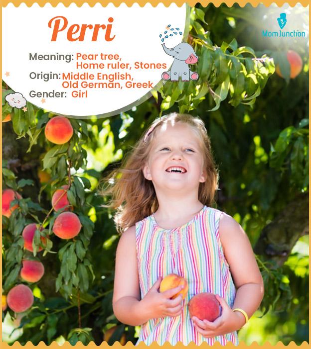 Explore Perri: Meaning, Origin & Popularity