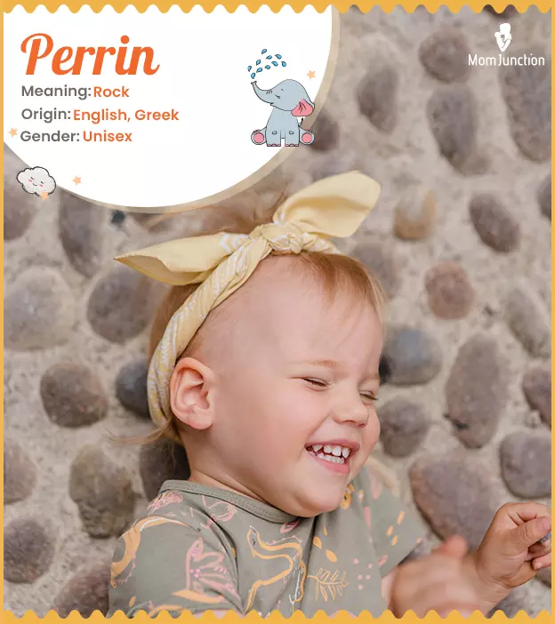 Perrin Name Meaning, Origin, History, And Popularity
