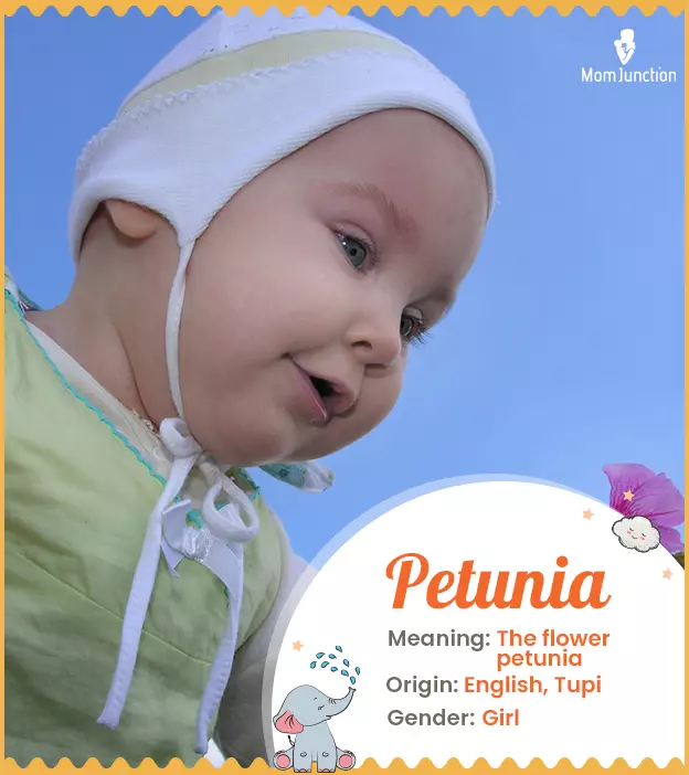 Explore Petunia: Meaning, Origin & Popularity