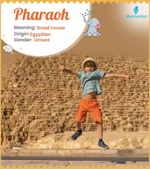 Explore Pharaoh: Meaning, Origin & Popularity