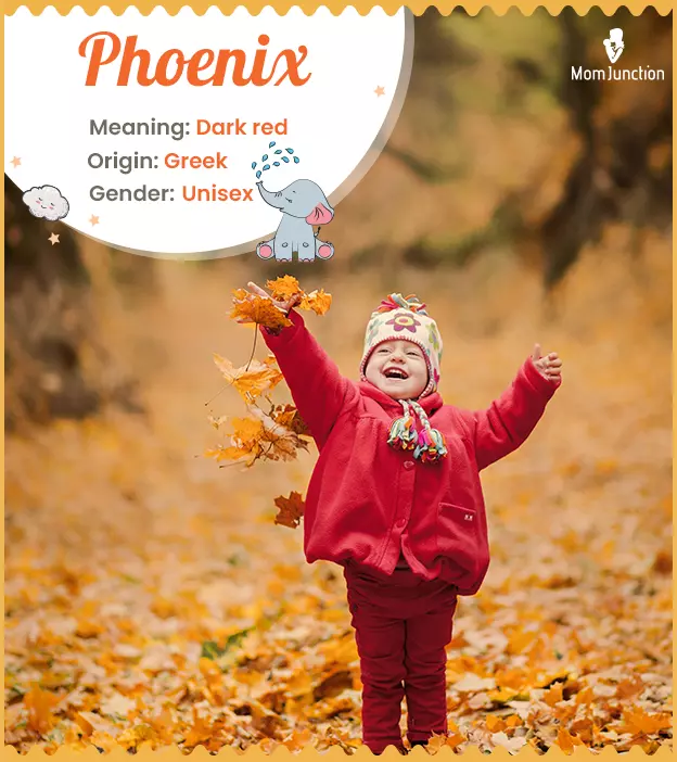 Phoenix Name Meaning, Origin, History, And Popularity