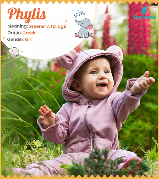 Phylis Name Meaning, Origin, History, And Popularity