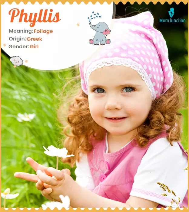 Phyliss Name Meaning, Origin, History, And Popularity