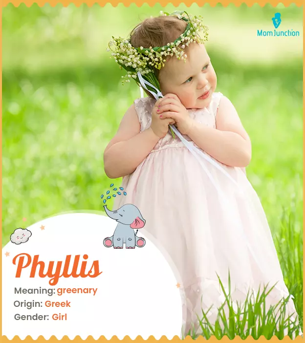 Phyllis Name Meaning: Origin, Mythology, And Popularity
