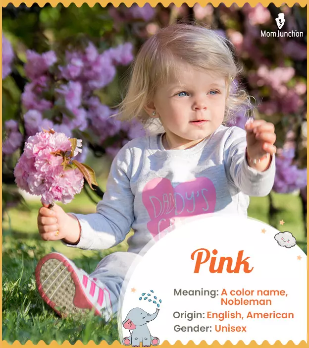 Explore Pink: Meaning, Origin & Popularity