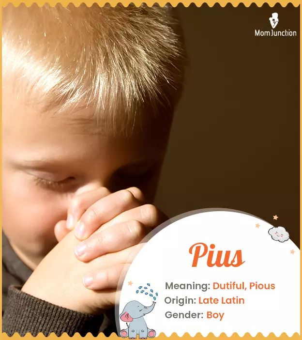 Pius Name Meaning, Origin, History, And Popularity