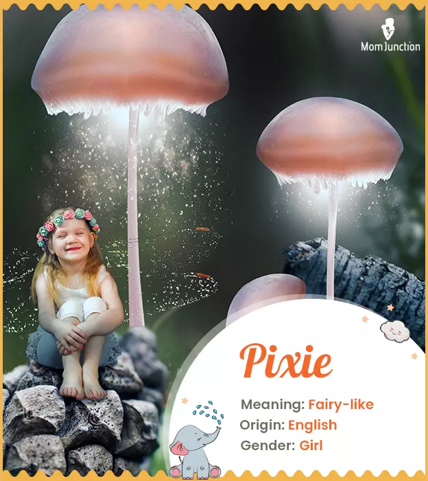 Explore Pixie: Meaning, Origin & Popularity