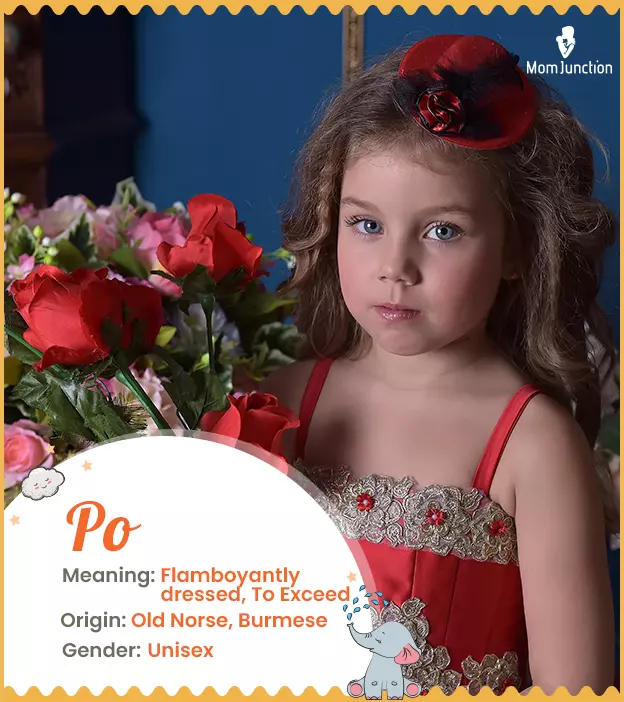 Explore Po: Meaning, Origin & Popularity