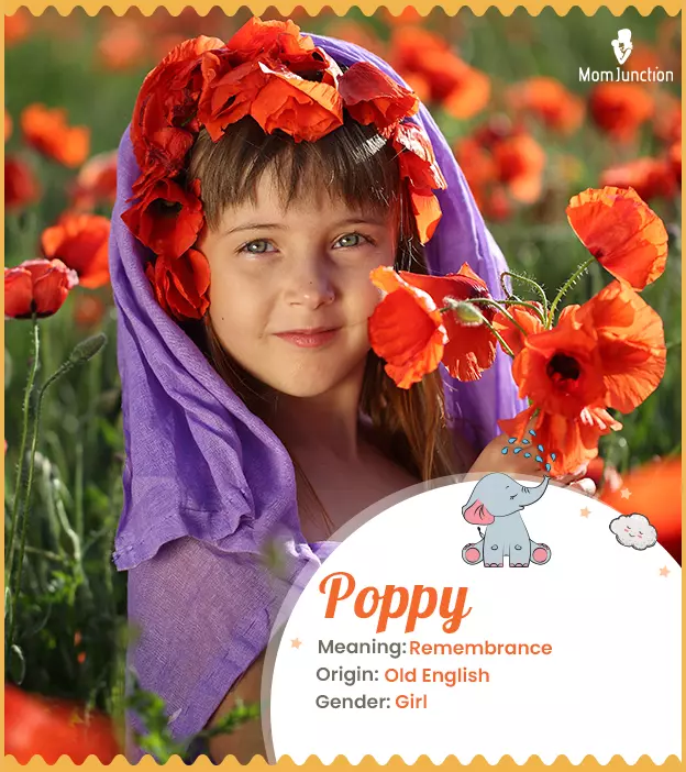 Poppy Name Meaning, Origin, History, And Popularity