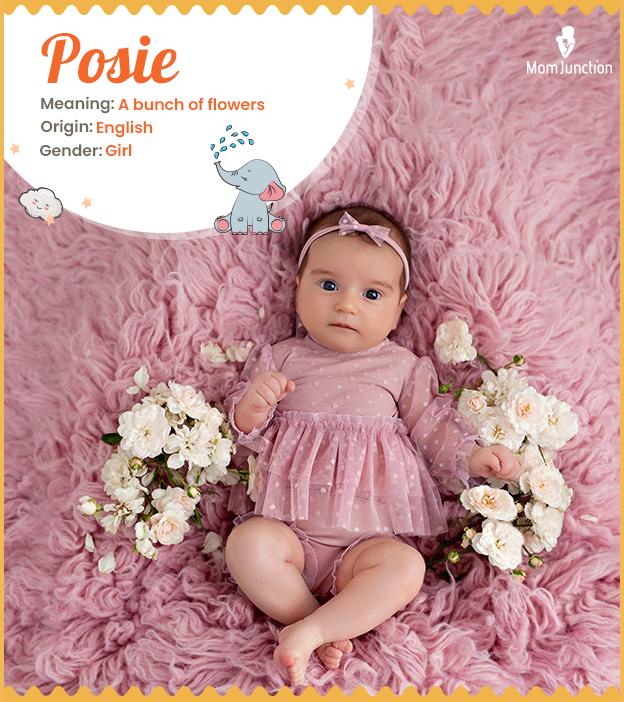 Posie Name Meaning, Origin, History, And Popularity
