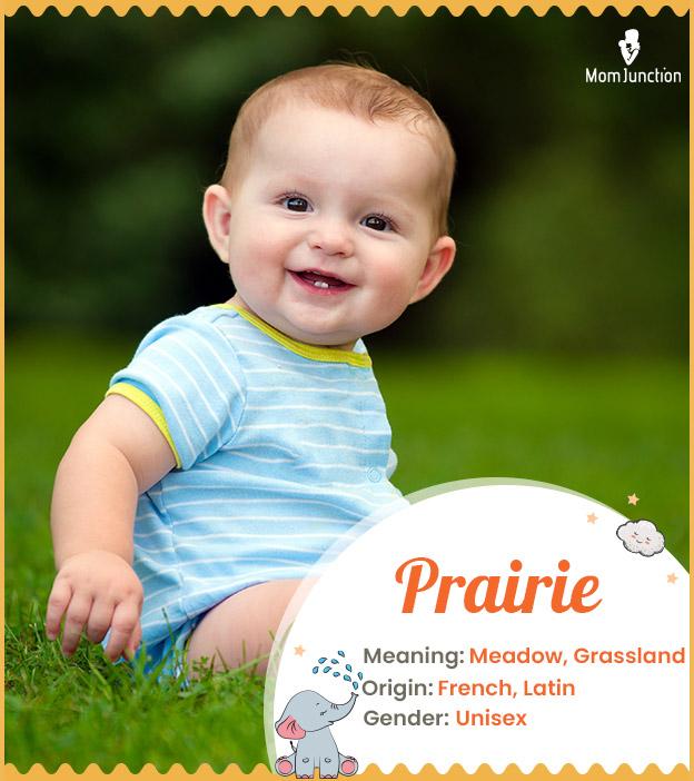 Explore Prairie: Meaning, Origin & Popularity