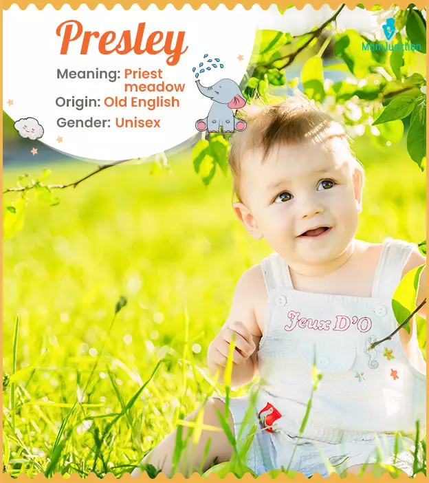 Presley Name, Meaning, Origin, History, And Popularity