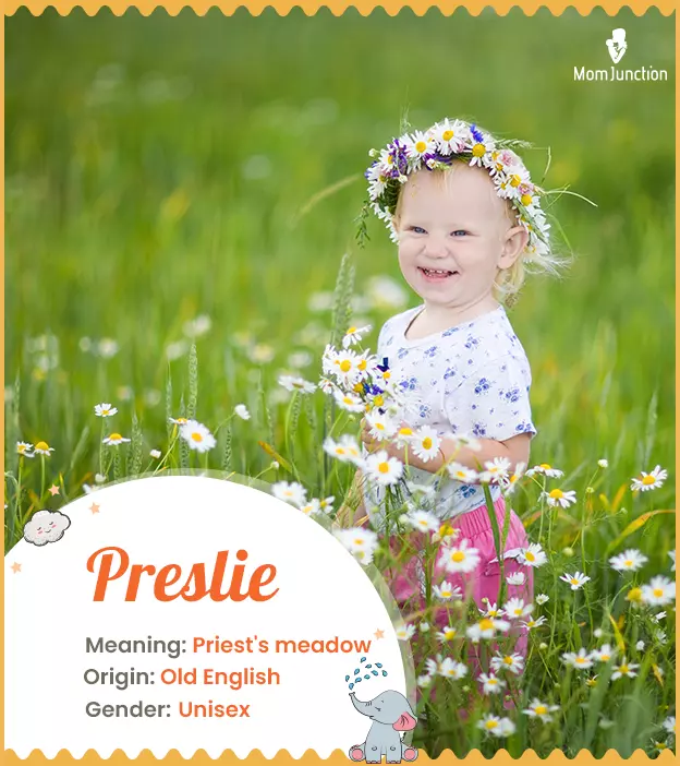 Explore Preslie Name Meaning, Origin, Variations, And Popularity In ...