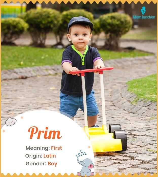 Explore Prim: Meaning, Origin & Popularity