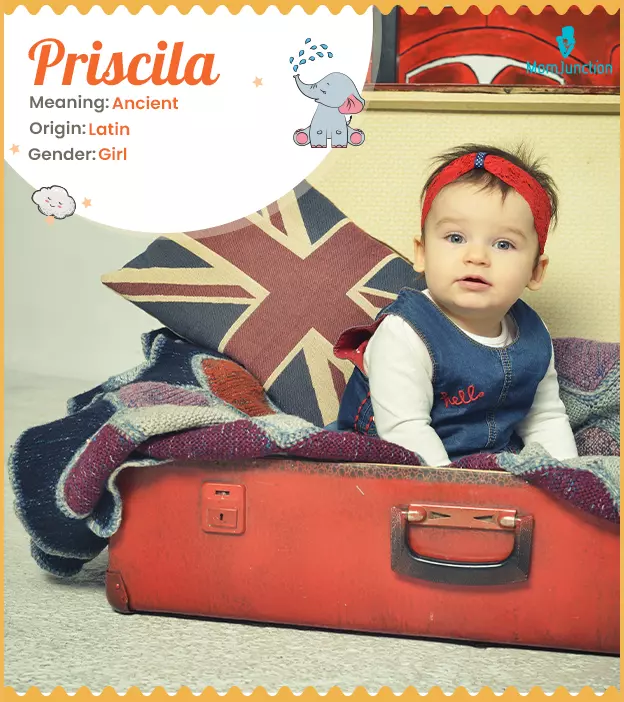Priscila Name Meaning, Origin, History, And Popularity