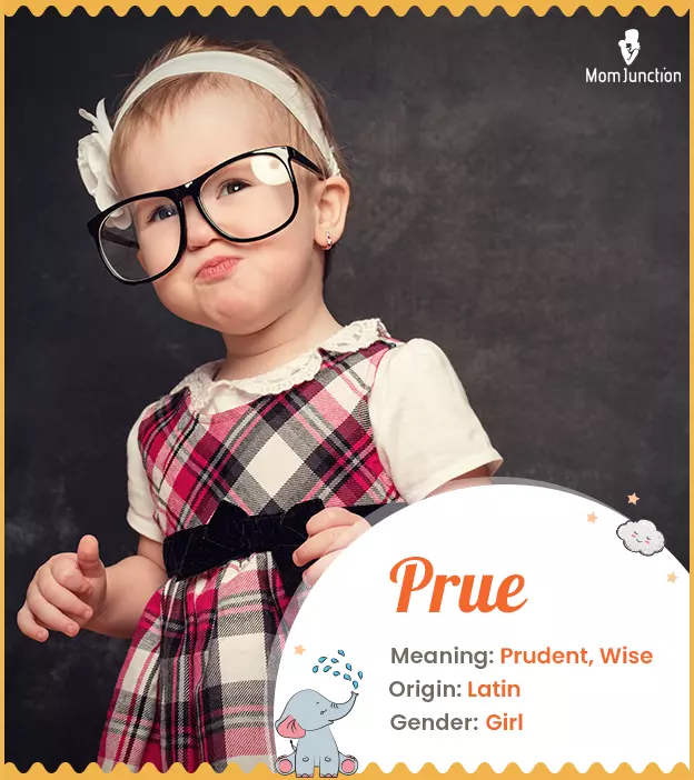 Explore Prue: Meaning, Origin & Popularity