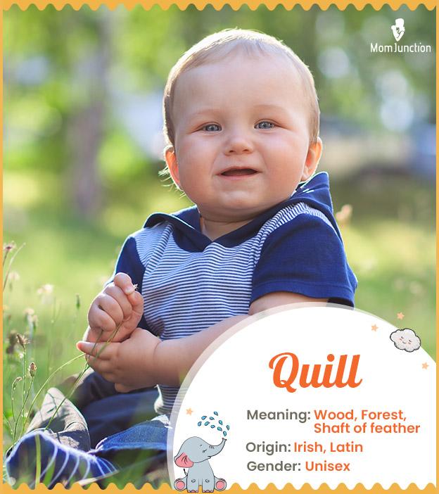 Explore Quill: Meaning, Origin & Popularity