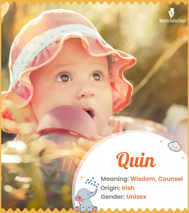 Quin Name Origin, Meaning, and History: A Complete Guide