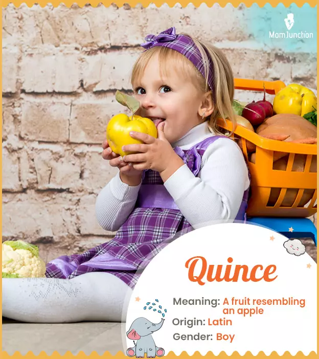 Quince: The Complete Guide To Origin, Meaning, And Popularity