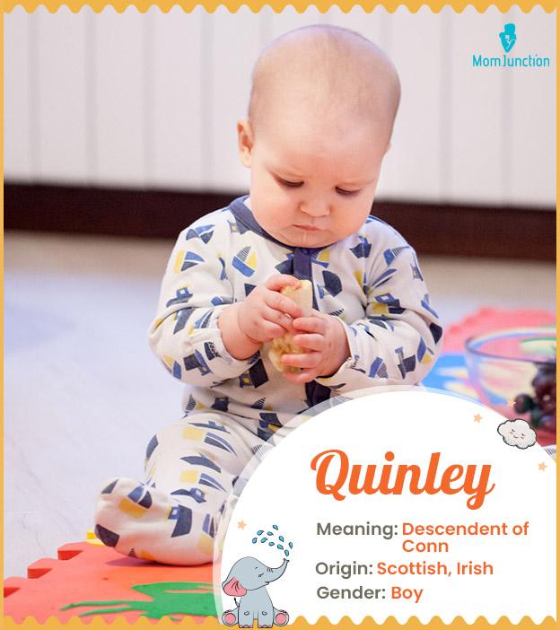 Quinley Name Meaning, Origin, History, And Popularity
