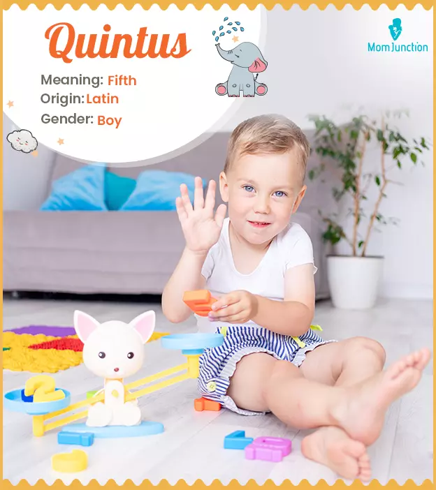 Quintus Name Meaning, Origin, History, And Popularity