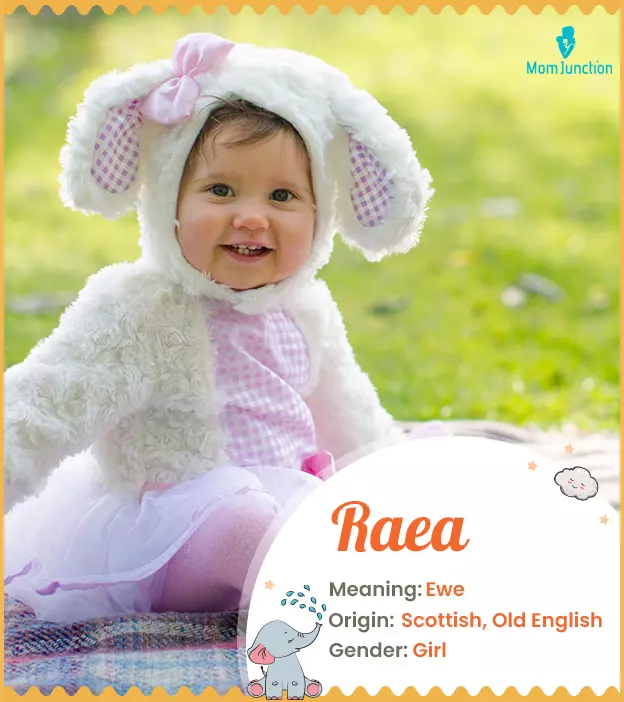 Raea Name Meaning, Origin, History, And Popularity