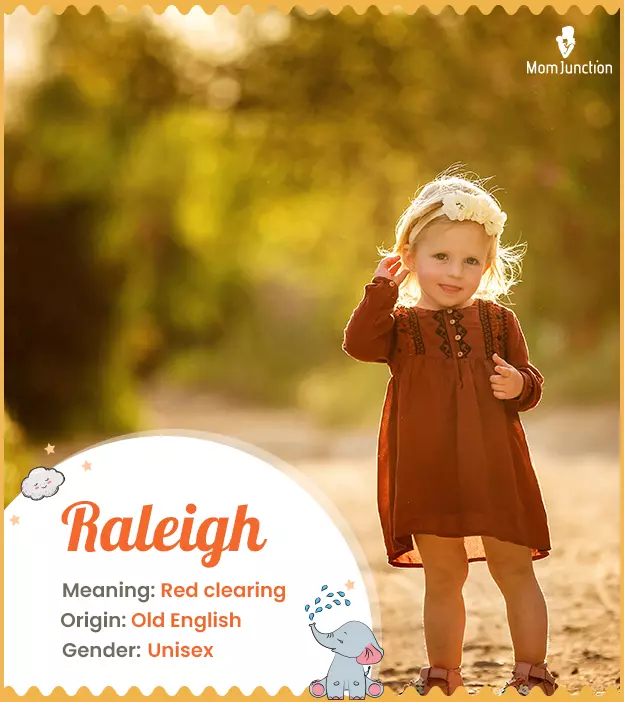Explore Raleigh: Meaning, Origin & Popularity