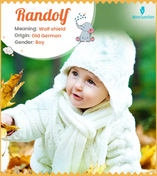 Randolf Name Meaning, Origin, History, And Popularity