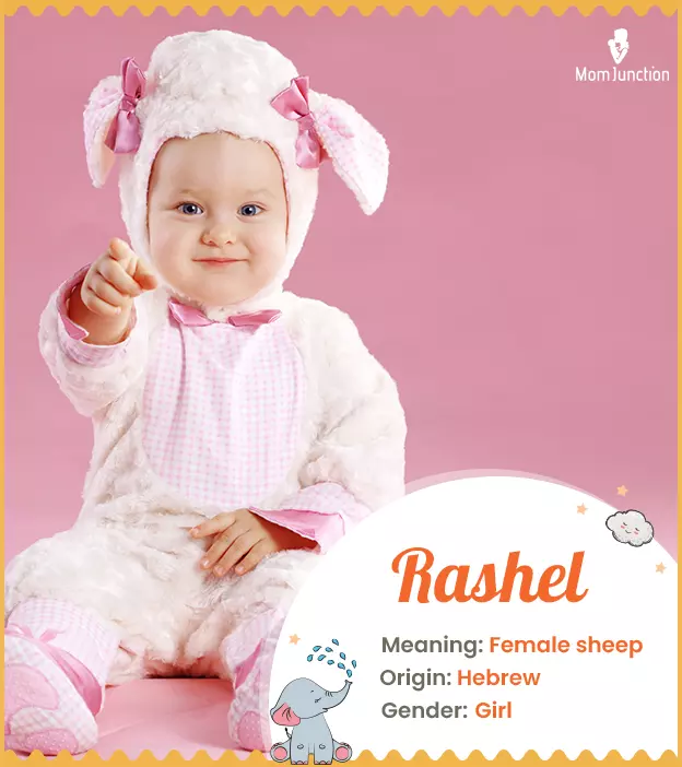 Rashel Name: Origin, Meaning, And History | Comprehensive Guide