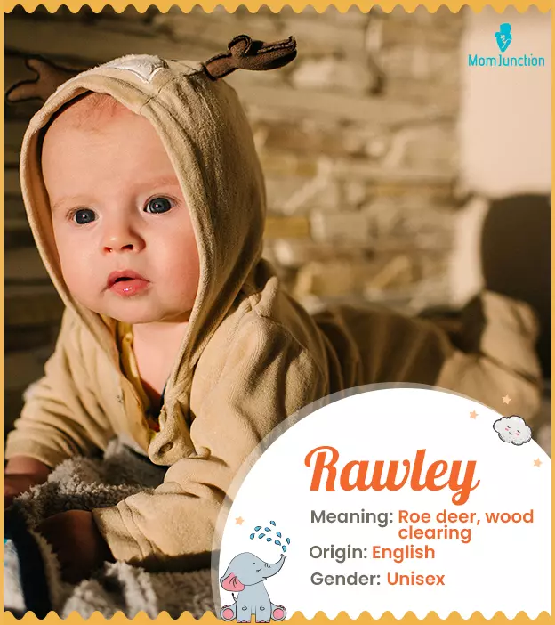 Rawley Name Meaning, Origin, History, And Popularity