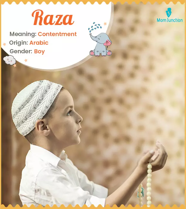 Raza Name Meaning & Origin: Variations, History, & Popularity