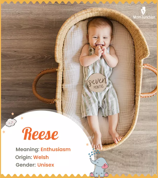 Reese Name Meaning: History, Origin & Popularity Trends