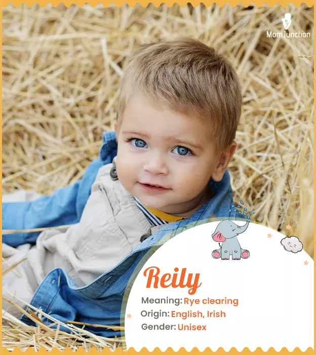 Explore Reily: Meaning, Origin & Popularity
