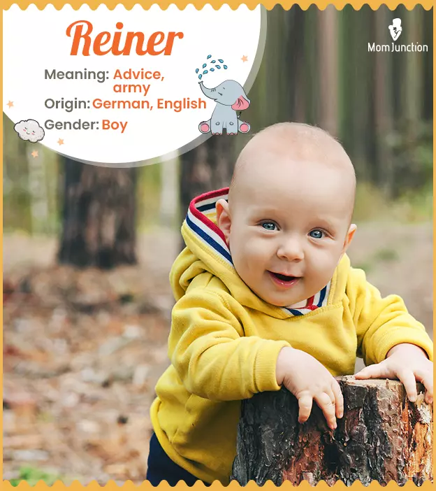 Reiner Name Meaning, Origin, History, And Popularity