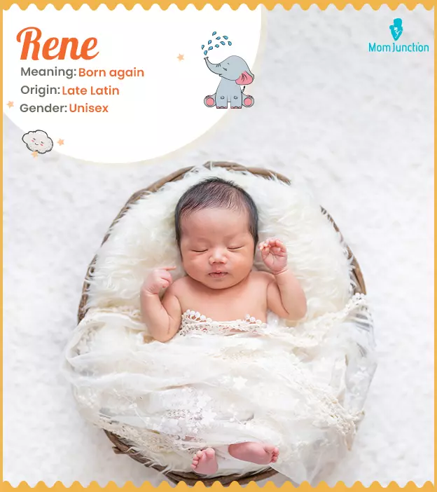 Rene Name Meaning, Origin, History, And Popularity