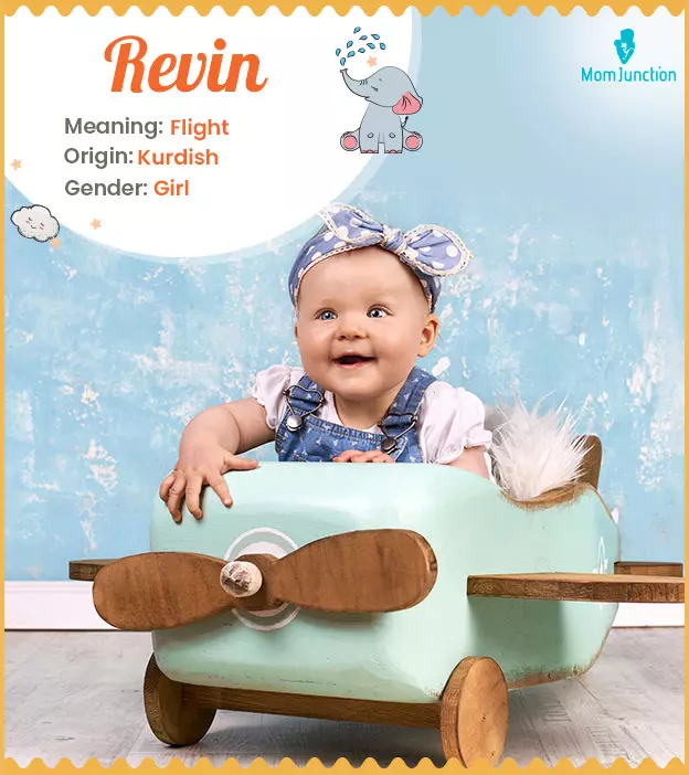 Revin Baby Name Origin, Meaning And History: Complete Guide