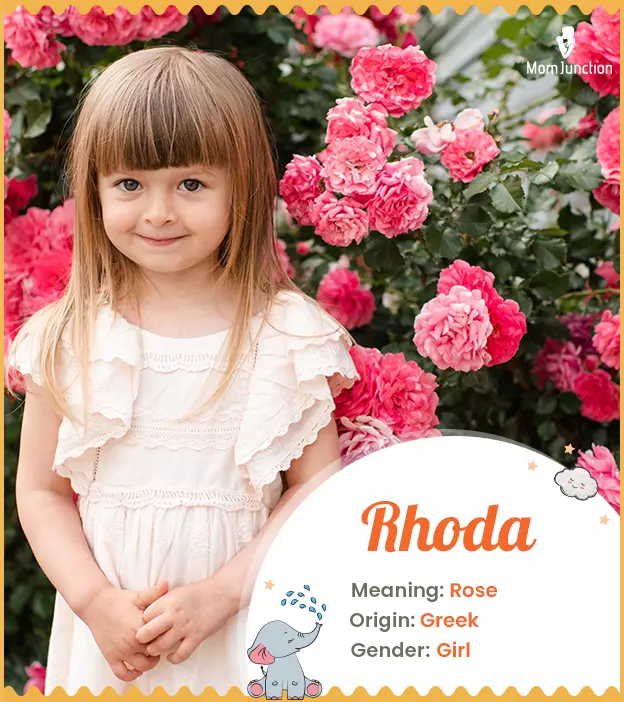 Rhoda Name Meaning, Origin, History, And Popularity