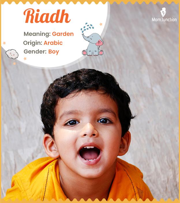 Anchal Baby Name: Meaning, Origin, Popularity